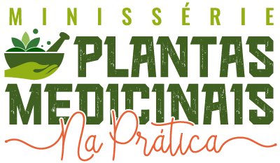 Minissérie Na Prática