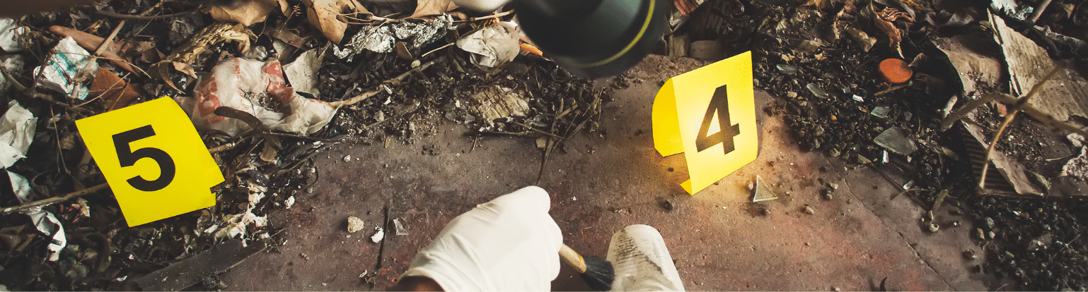 Kit de Cursos Forense